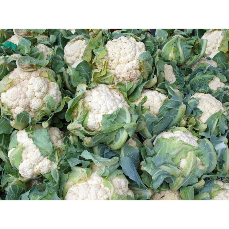 Lot de Graines Chou-Fleur Merveille de toutes saisons - Mes Graines ...